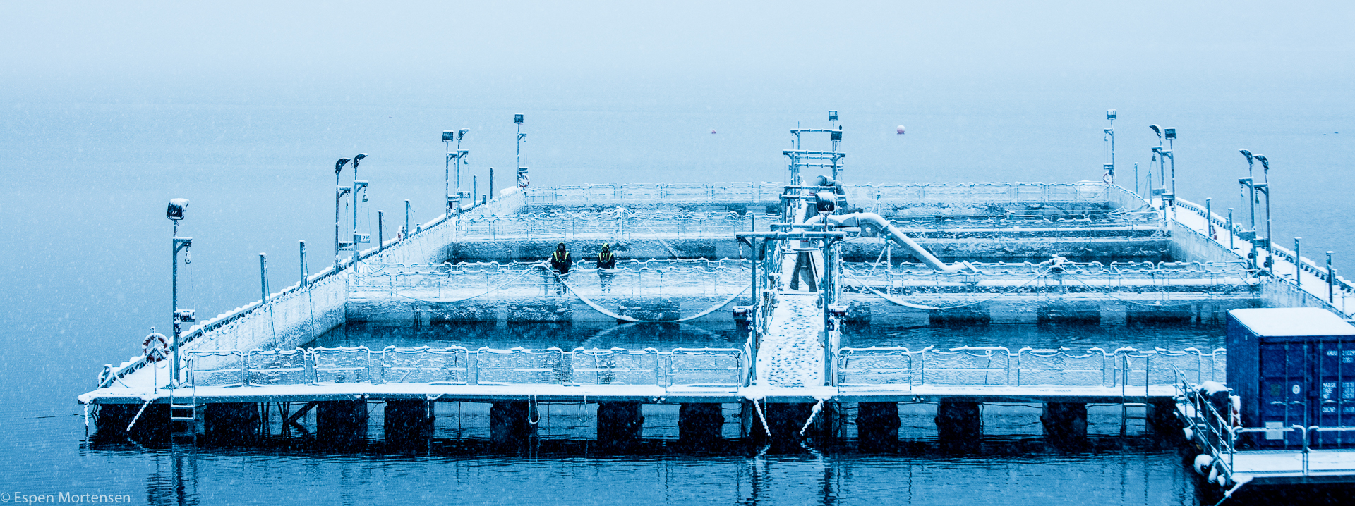 Havbruk 2020 - a digital aquaculture conference | SALT